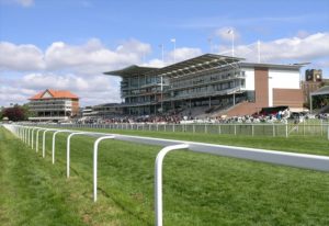 How do Horse Ages Work in Racing? | HorseRacingBettingSites.co.uk