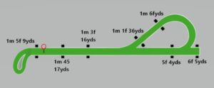 Hamilton Park Racecourse Guide & Fixtures | HorseRacingBettingSites.co.uk