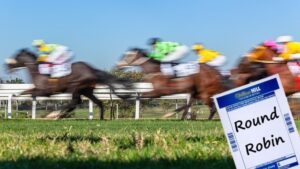 What Is a Round-Robin Bet? | HorseRacingBettingSites.co.uk